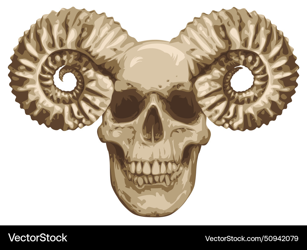 Human skull with horns ram Royalty Free Vector Image