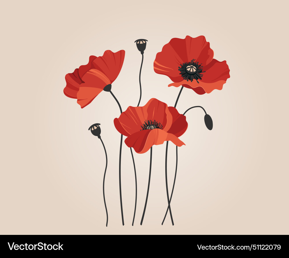 Three bright red poppies on a neutral beige Vector Image