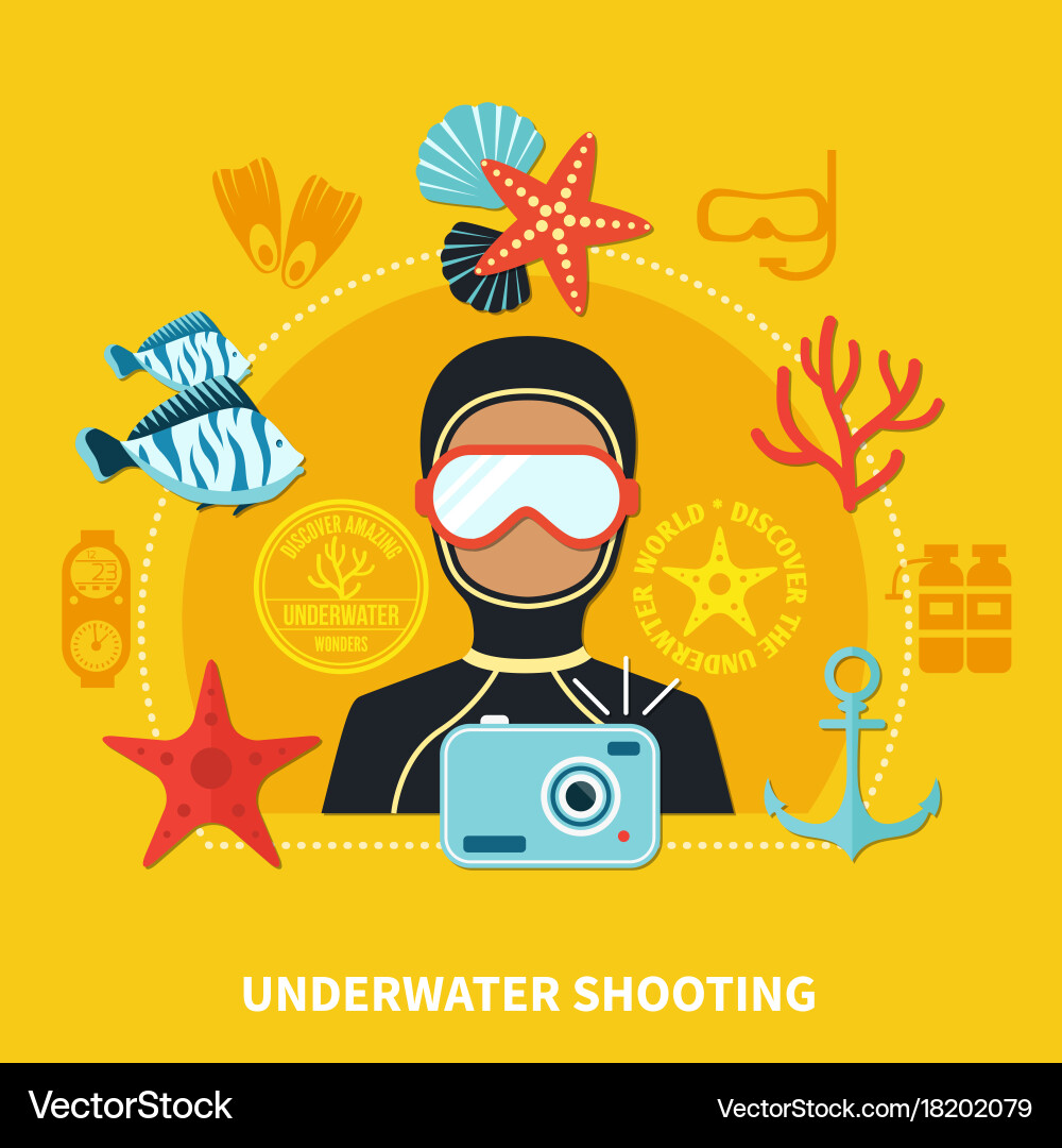 Underwater shooting composition Royalty Free Vector Image