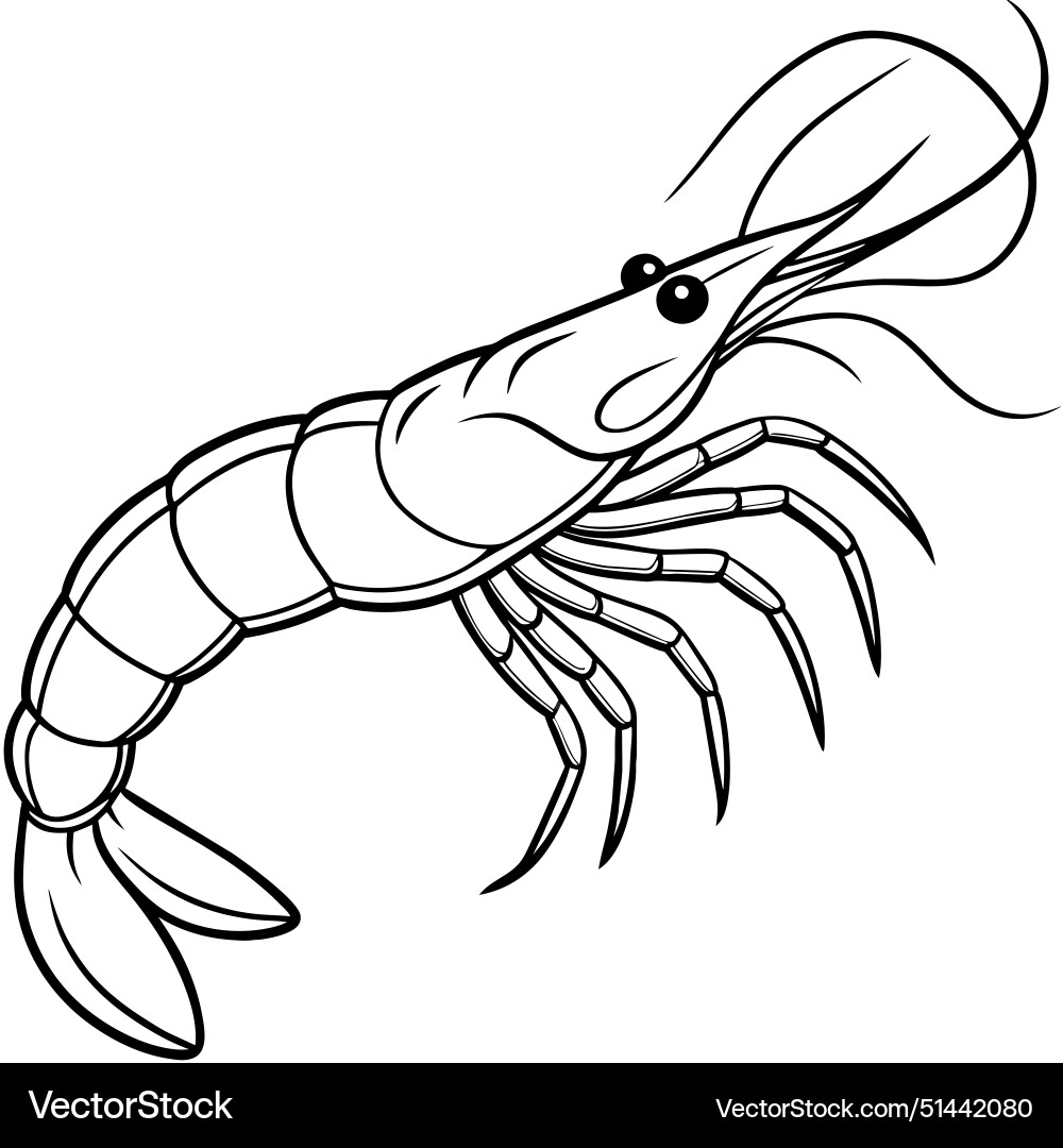 Antarctic krill shrimp goes icon Royalty Free Vector Image