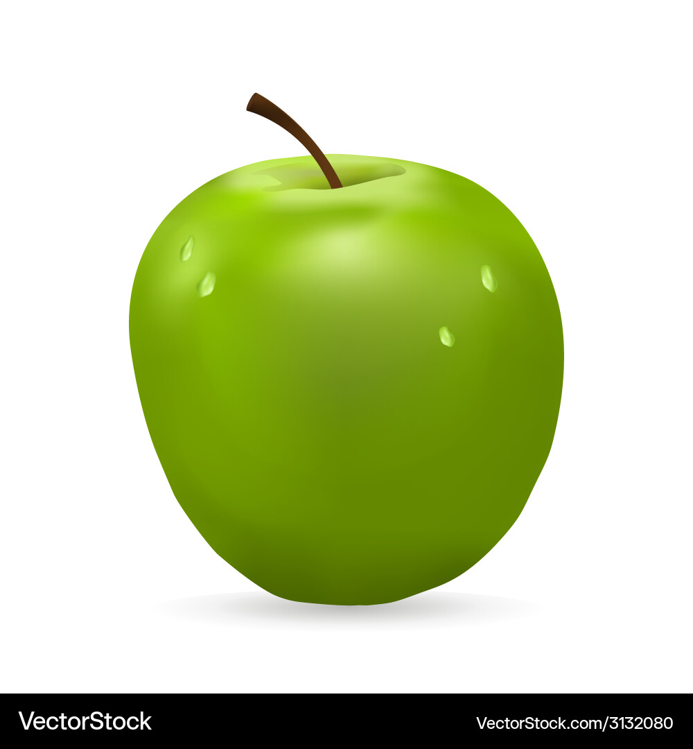 Green apple Royalty Free Vector Image - VectorStock