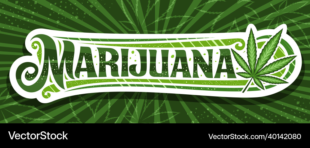 Marijuana Leaf Banner Royalty Free Vector Image