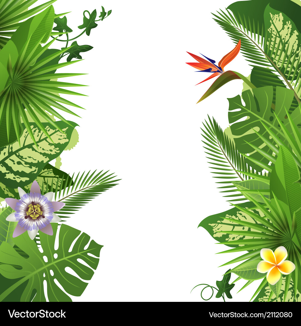 Tropical Background Vector