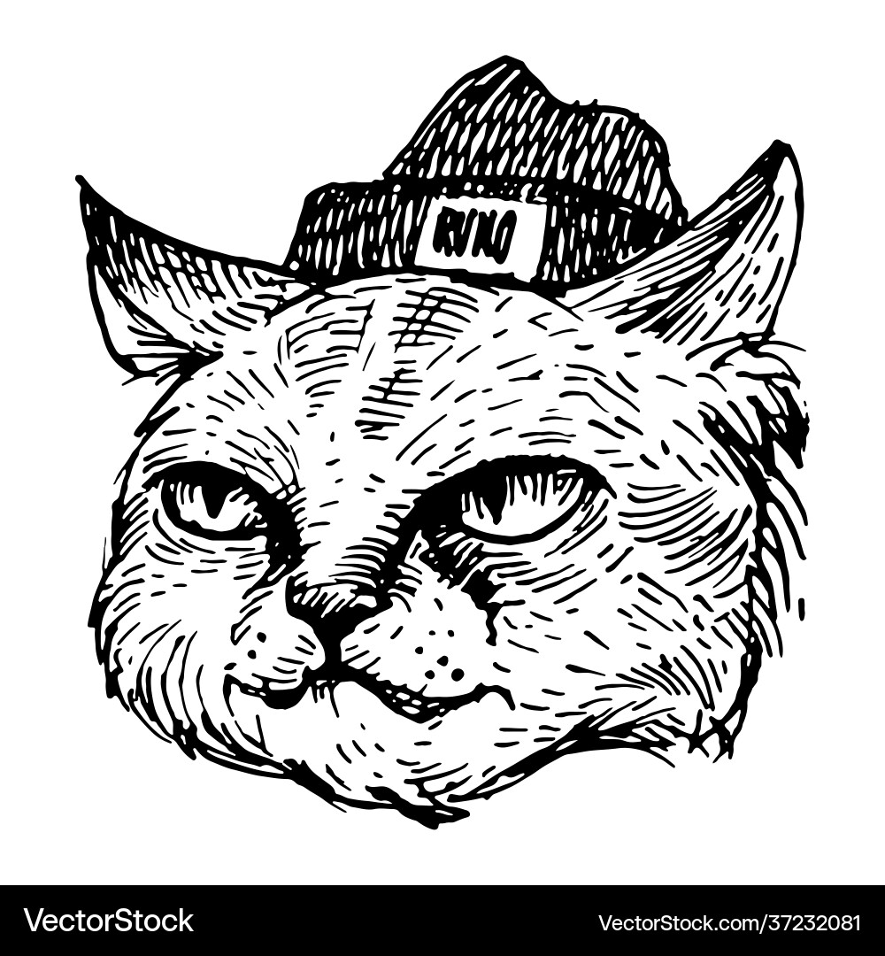 Angry Street Cat in Hat Royalty Free Vector Image