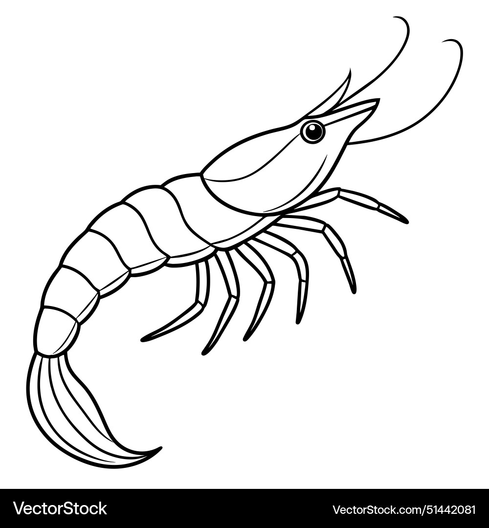 Antarctic krill shrimp jumps icon Royalty Free Vector Image