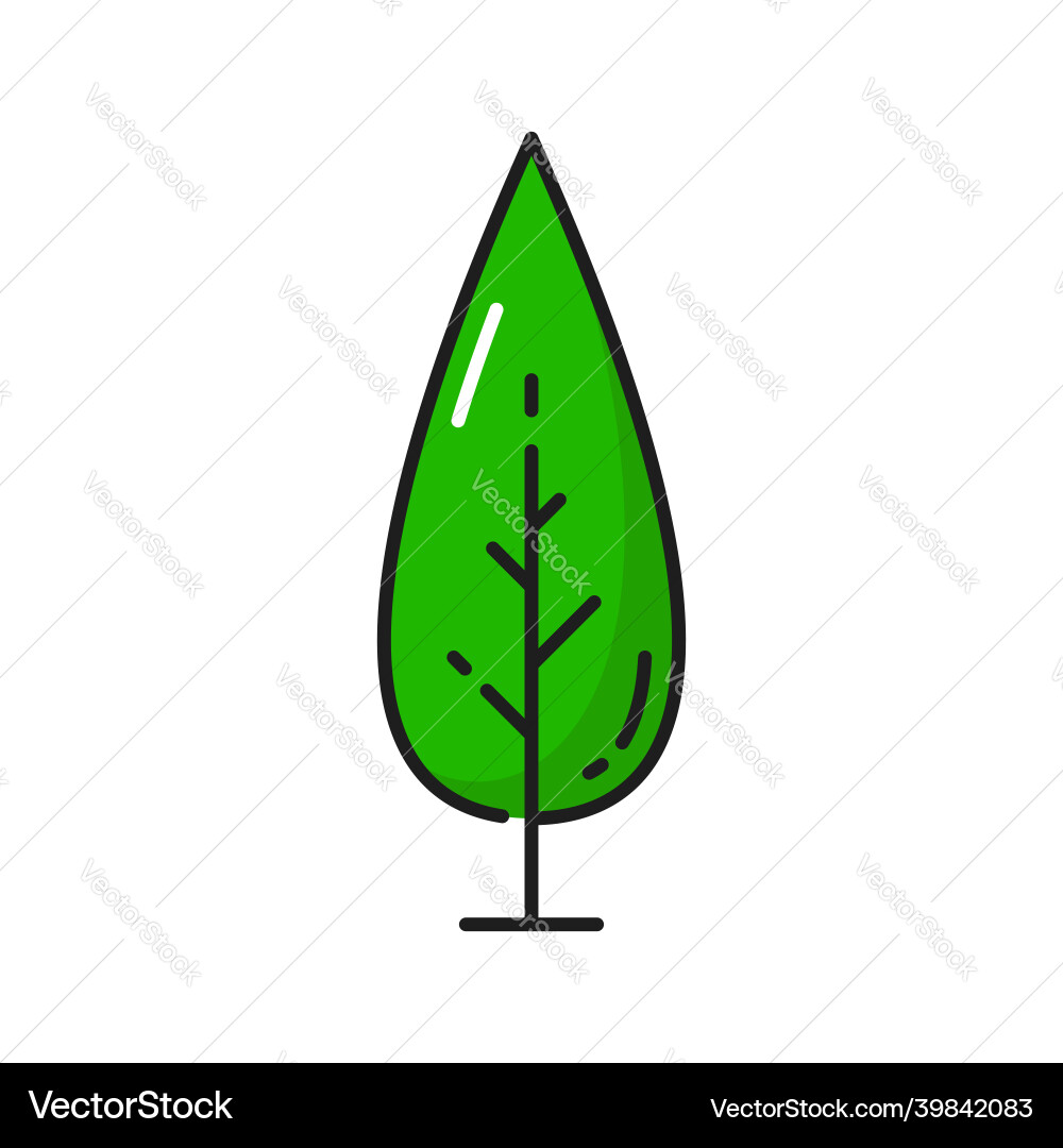 Green leaves on tree spring summer outline plant Vector Image