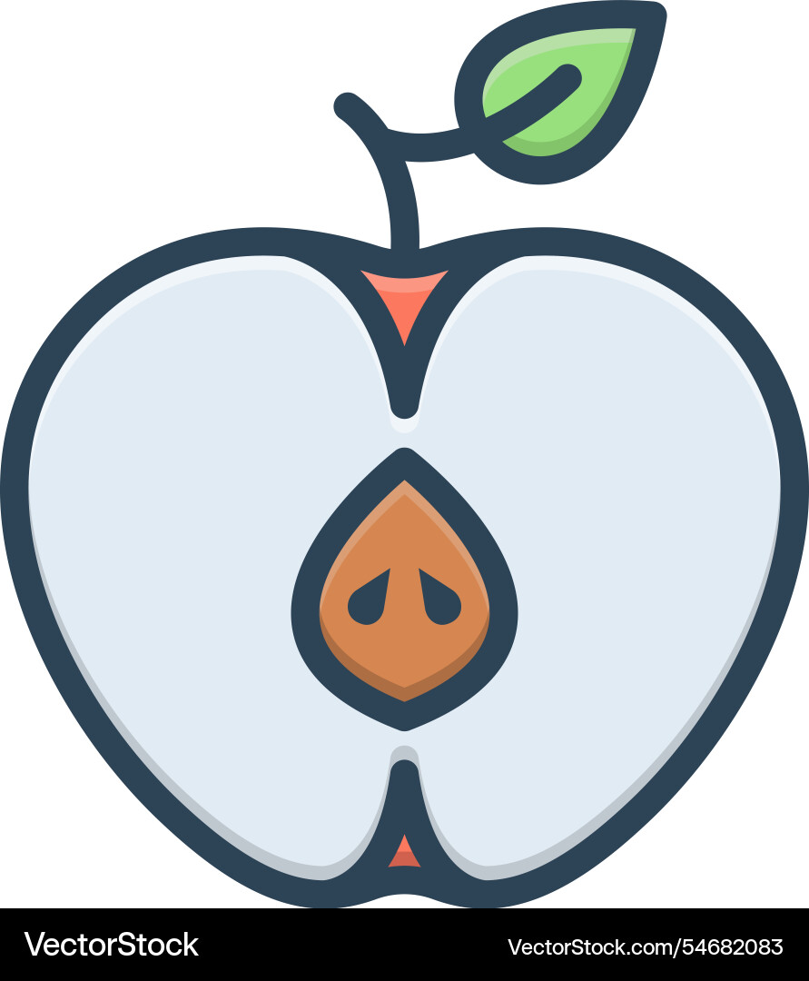 Half apple Royalty Free Vector Image - VectorStock