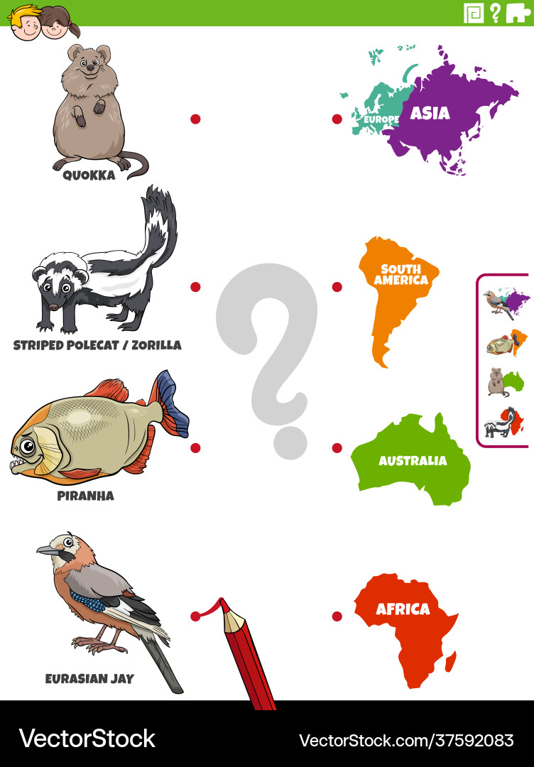 Match animal species and continents educational Vector Image