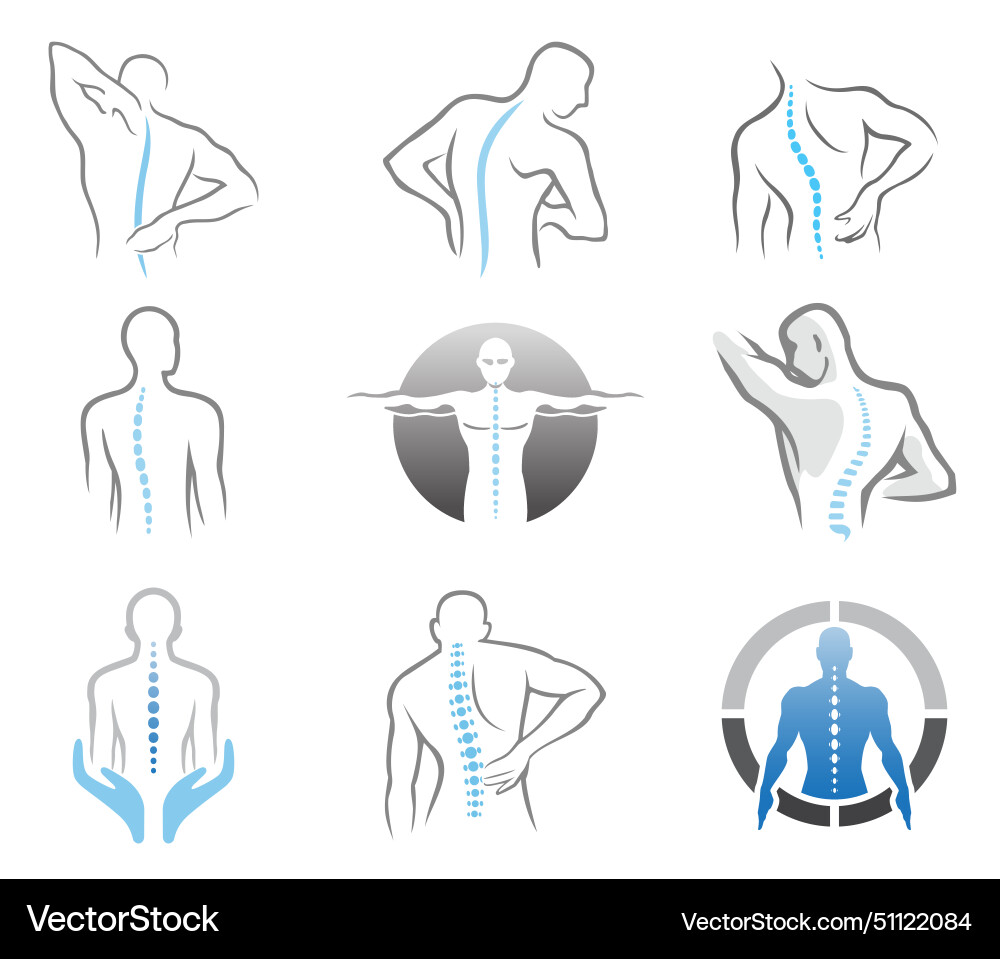Creative human bodybone chiropractic Royalty Free Vector
