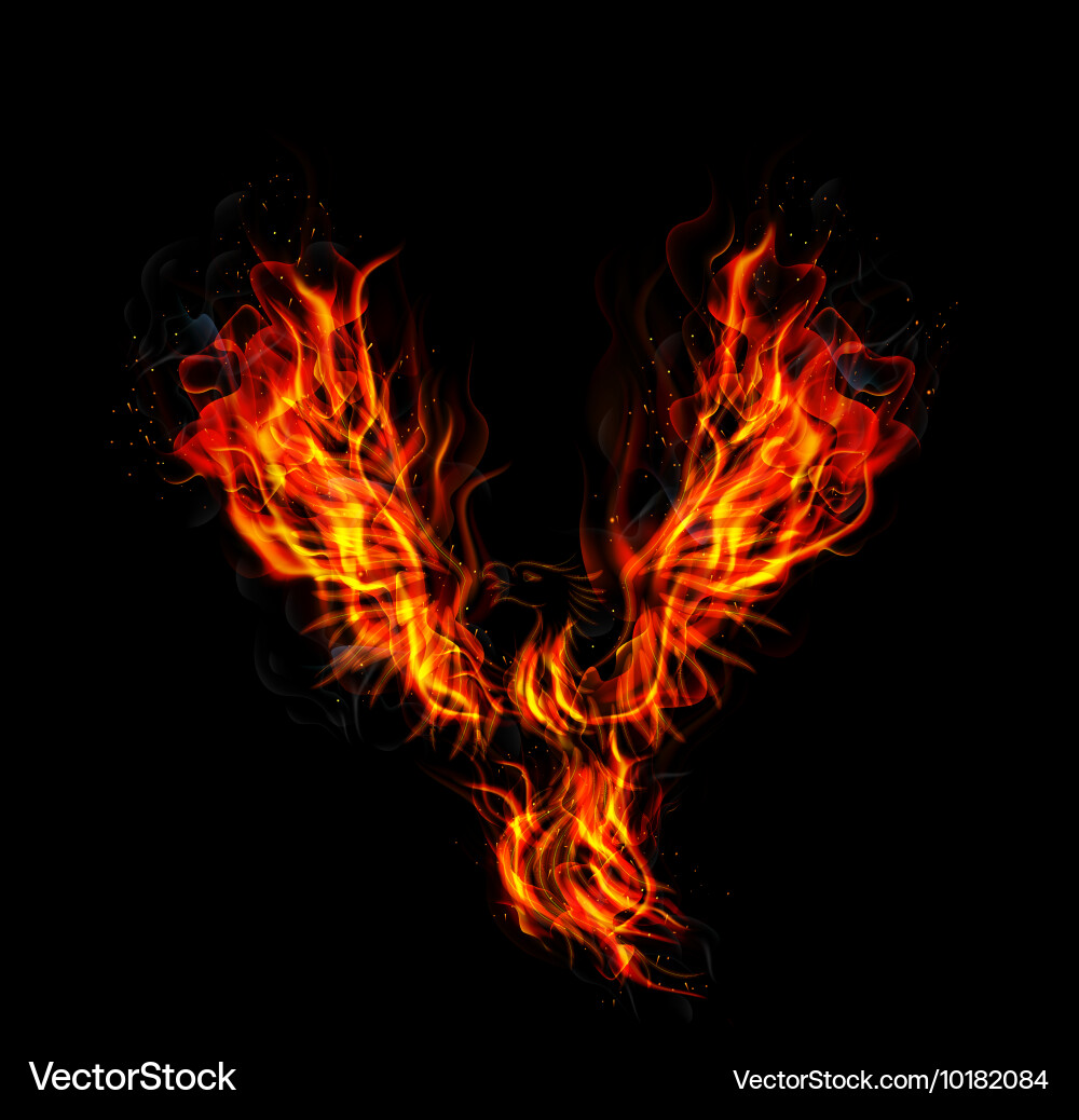 Fire burning phoenix bird with black background Vector Image