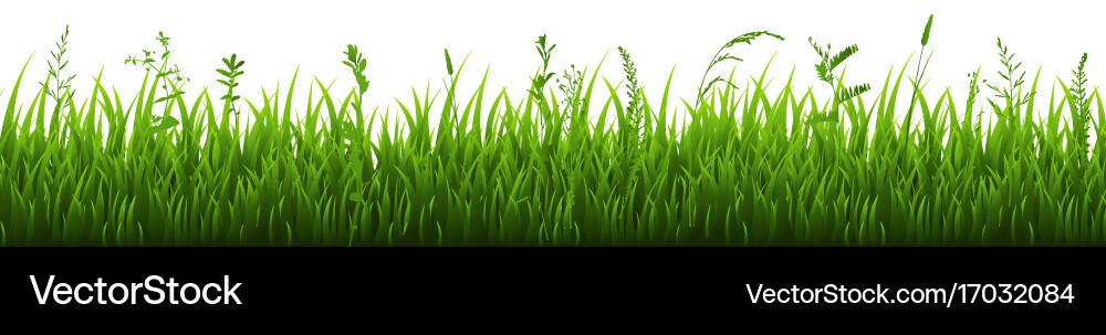 Green grass border Royalty Free Vector Image - VectorStock