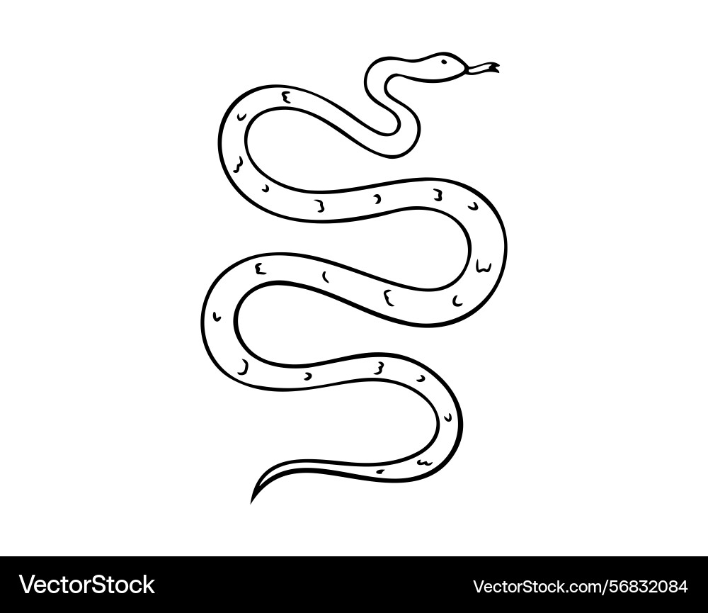 Hand drawn doodle snake top view icon outline Vector Image