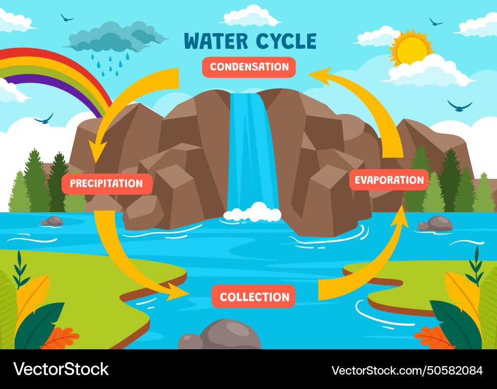Water cycle with evaporation condensation Vector Image