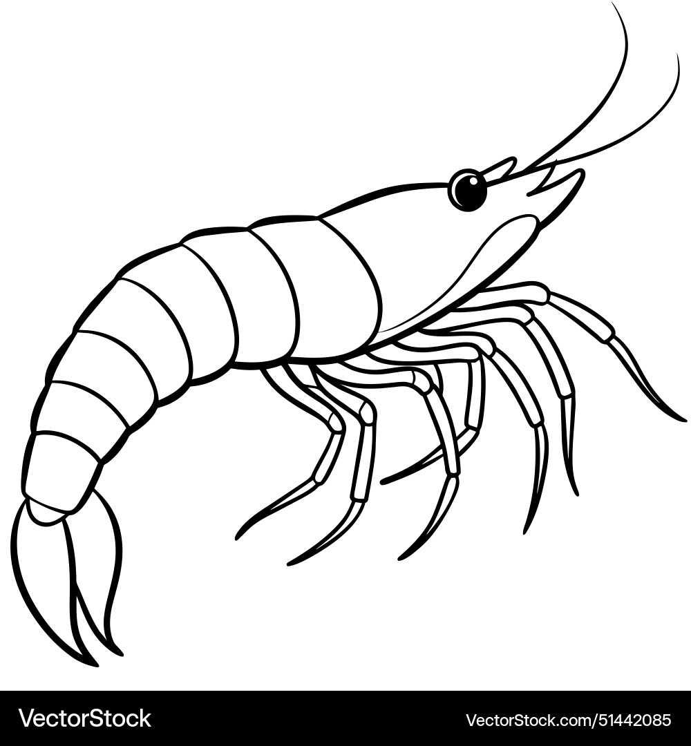Antarctic krill shrimp lies icon Royalty Free Vector Image