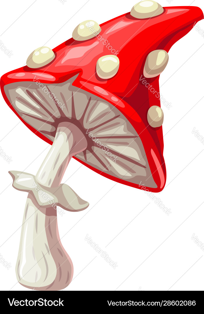 Fly Agaric Mushroom - Red & White Royalty Free Vector
