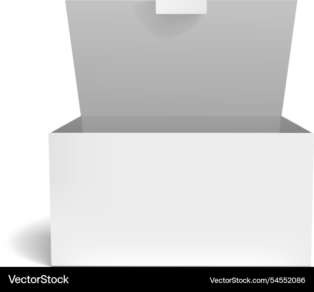 Realistic white rectangular box mockup presenting Vector Image