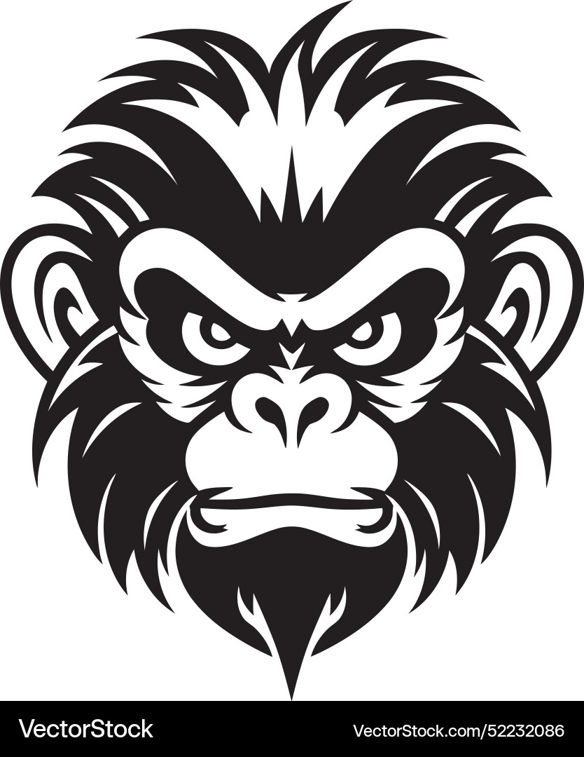 Shadows of the monkey kingdommysterious monkeys Vector Image