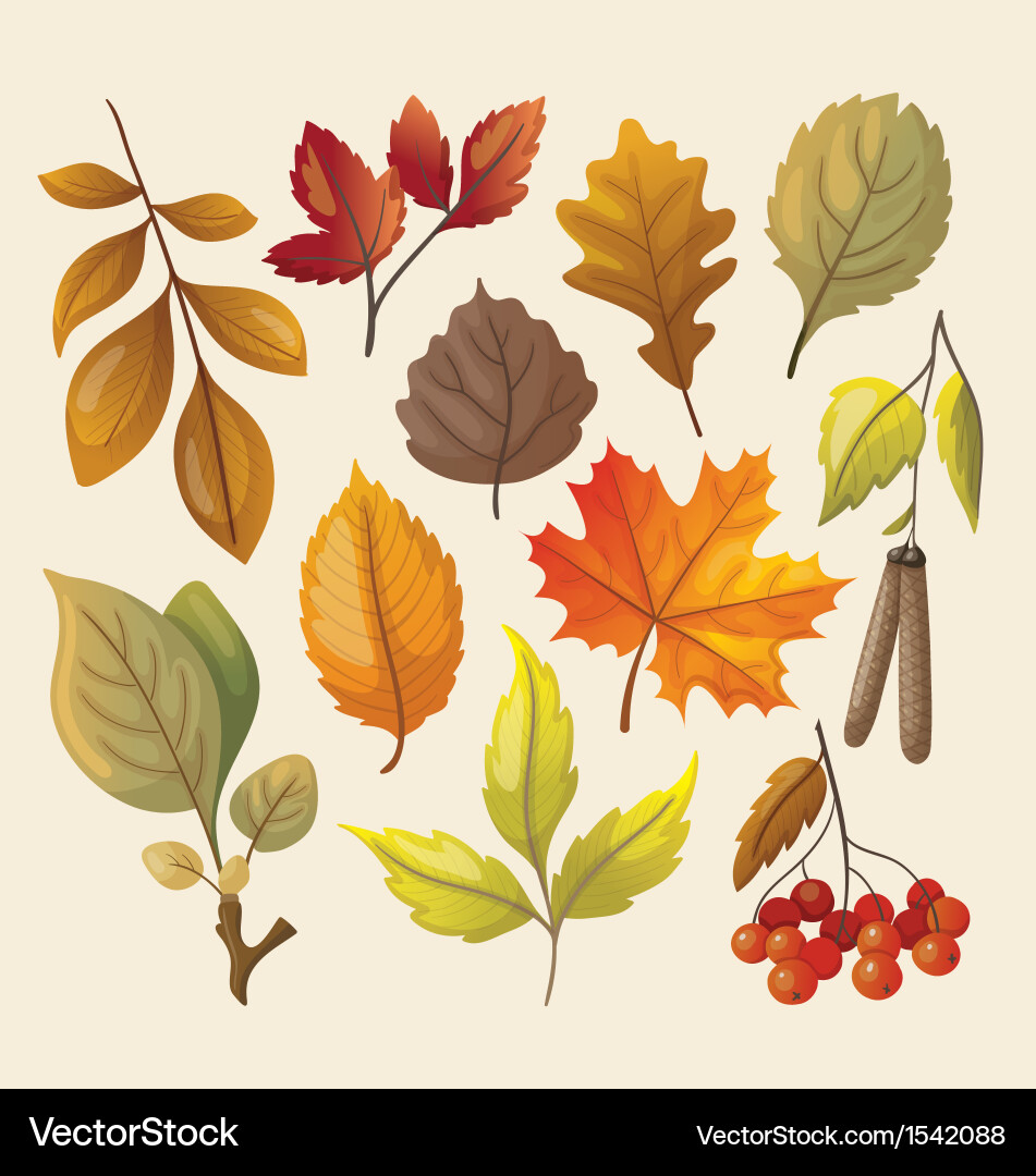 Colorful Autumn Leaf Set Royalty Free Vector Image