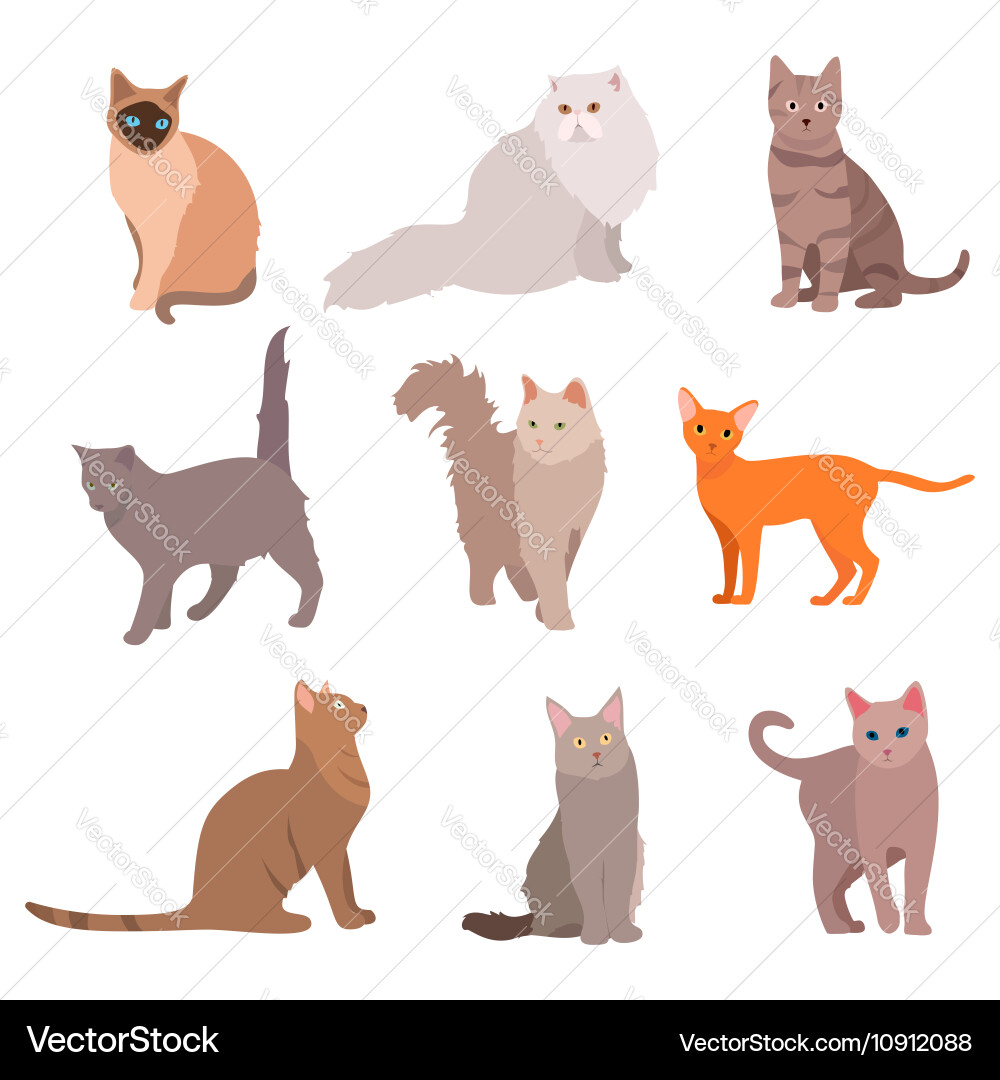 Cute Cartoon Cats Set - Diverse Kitten Collection Vector Image