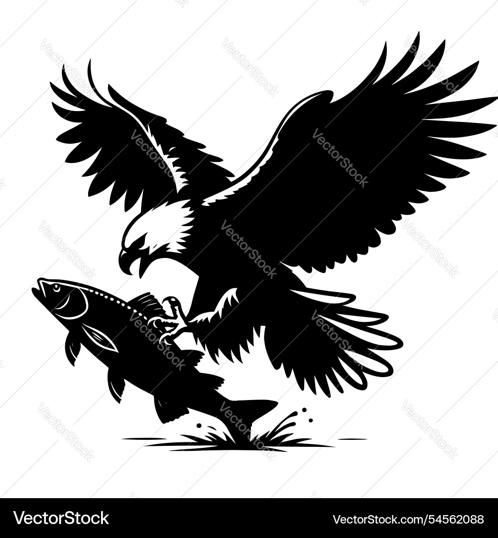 Eagle catching fish 1 Royalty Free Vector Image
