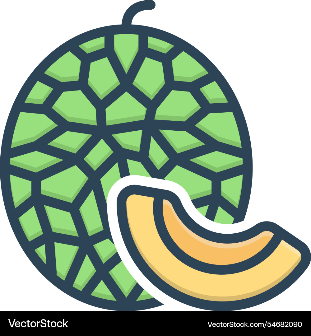 Melon Royalty Free Vector Image - VectorStock