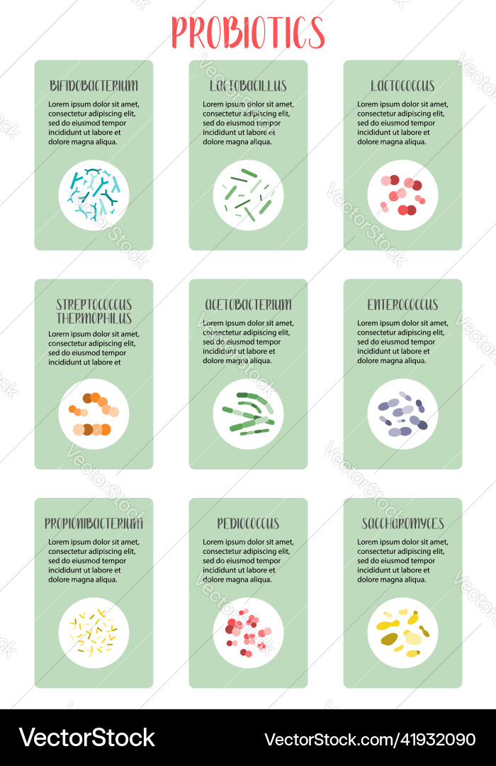Probiotics lactic acid bacteria good Royalty Free Vector