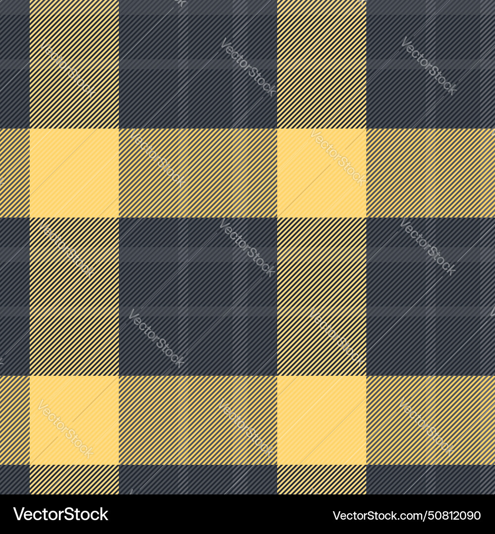 Stripe plaid texture african fabric pattern Vector Image