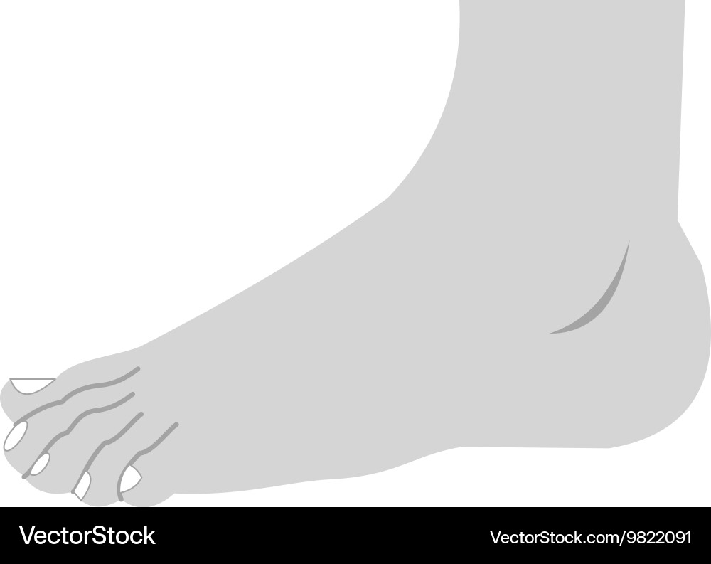 Foot Royalty Free Vector Image - VectorStock