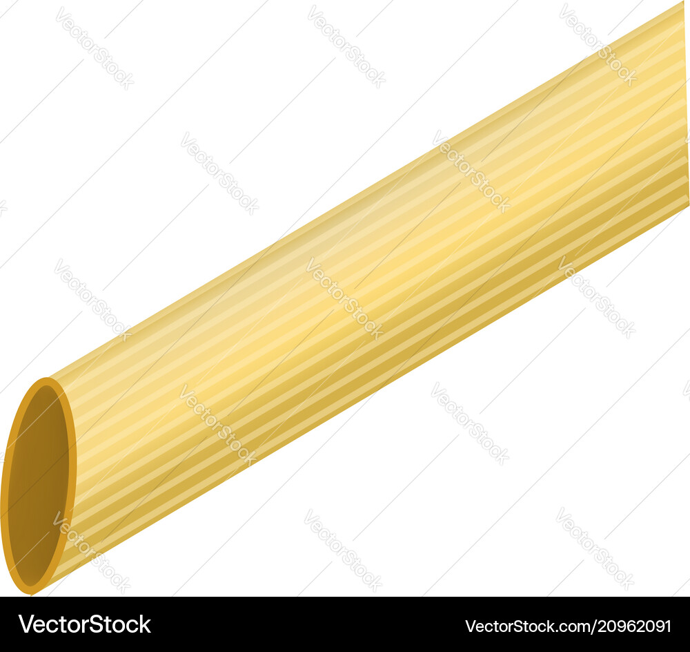 Realistic Pasta Rigatoni Mockup Royalty Free Vector Image