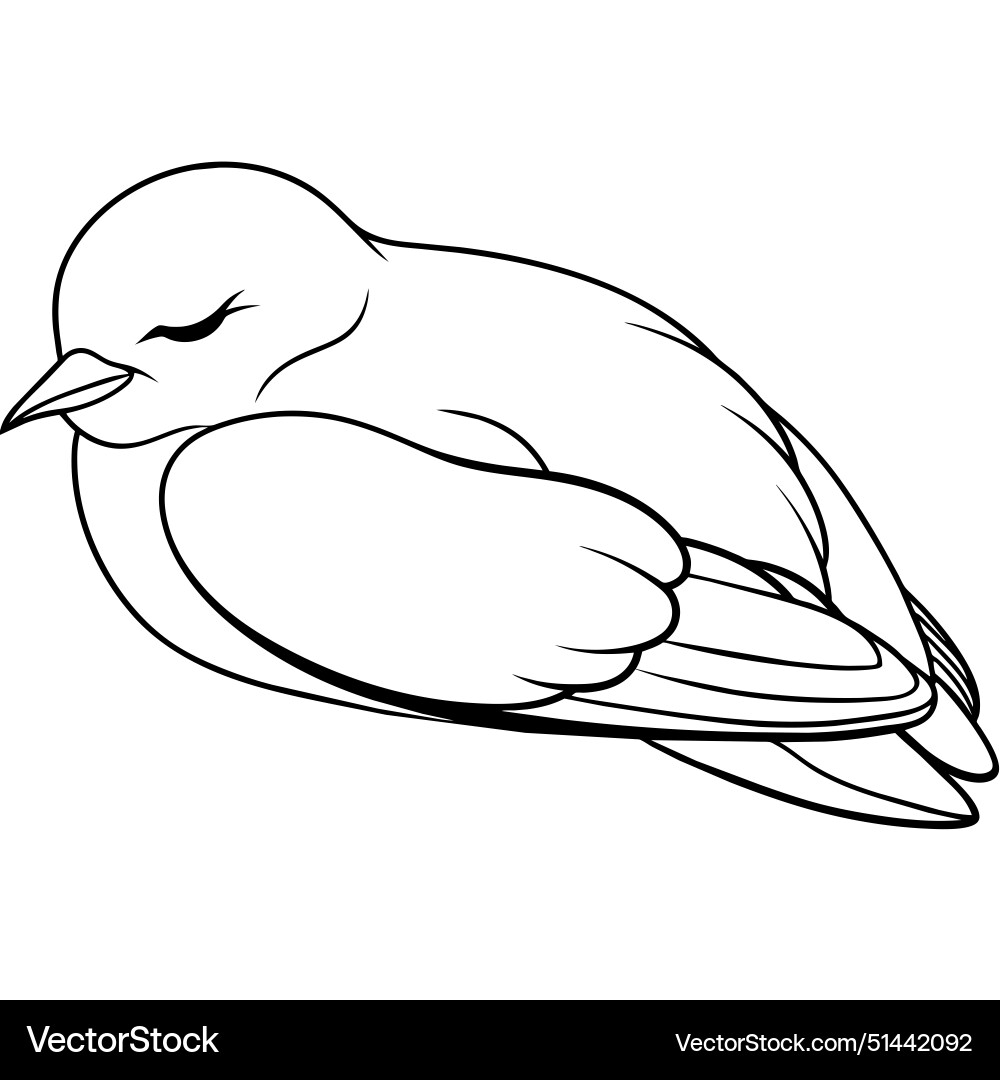 Antarctic petrel bird sleeps icon Royalty Free Vector Image