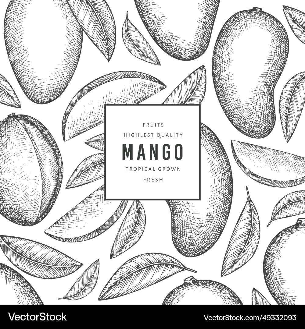 Hand drawn sketch style mango banner organic Vector Image