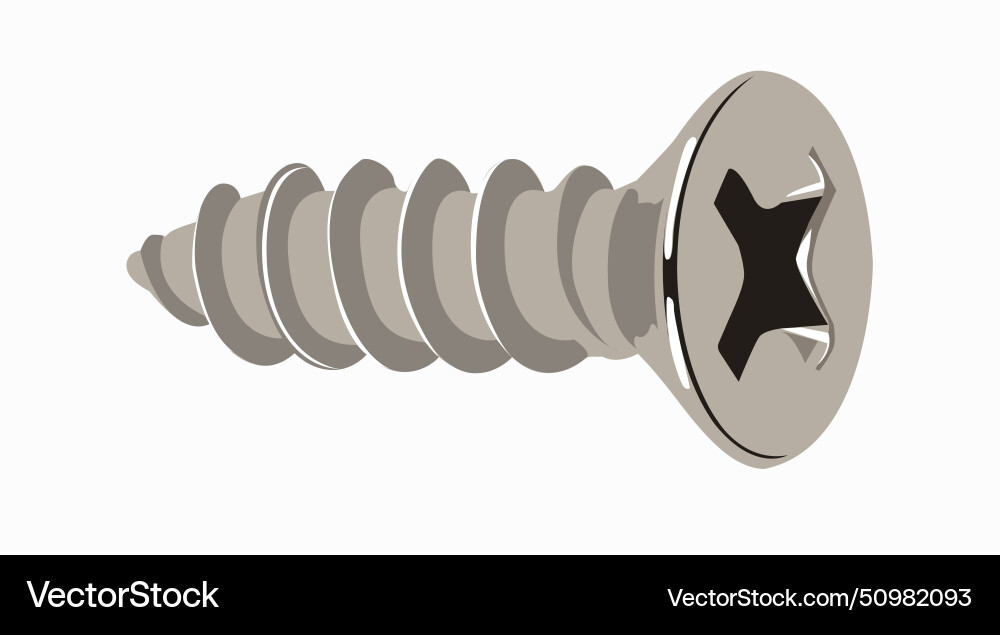 Isolated of a screw Royalty Free Vector Image - VectorStock
