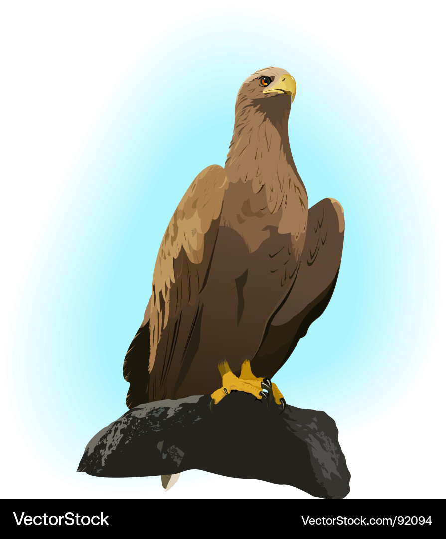 Hawk Royalty Free Vector Image - VectorStock
