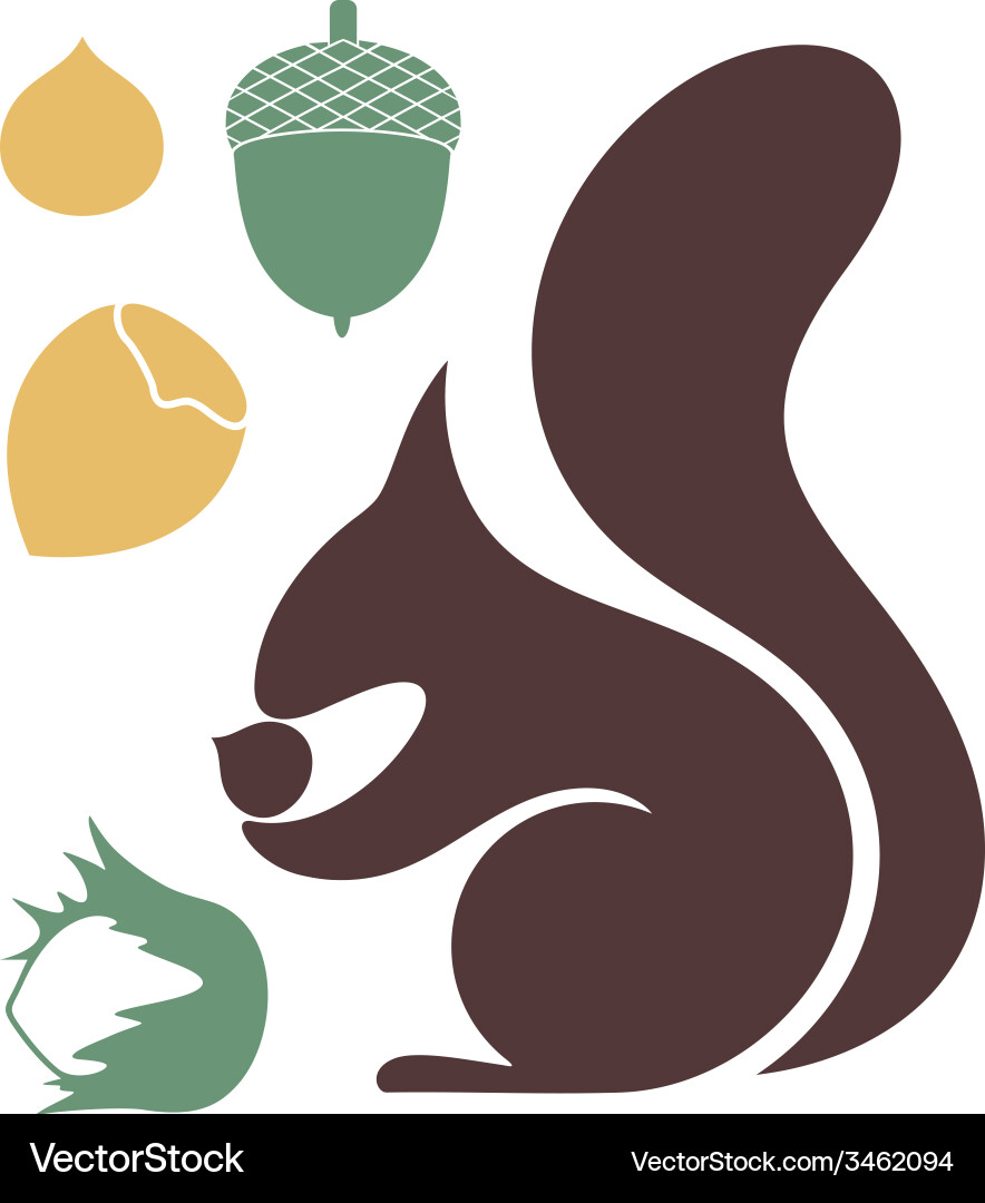 Squirrel Royalty Free Vector Image - VectorStock