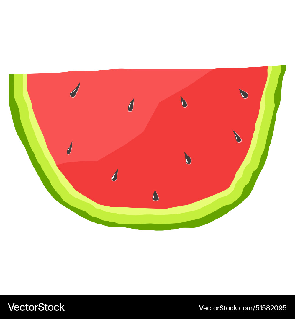 Half a watermelon Royalty Free Vector Image - VectorStock