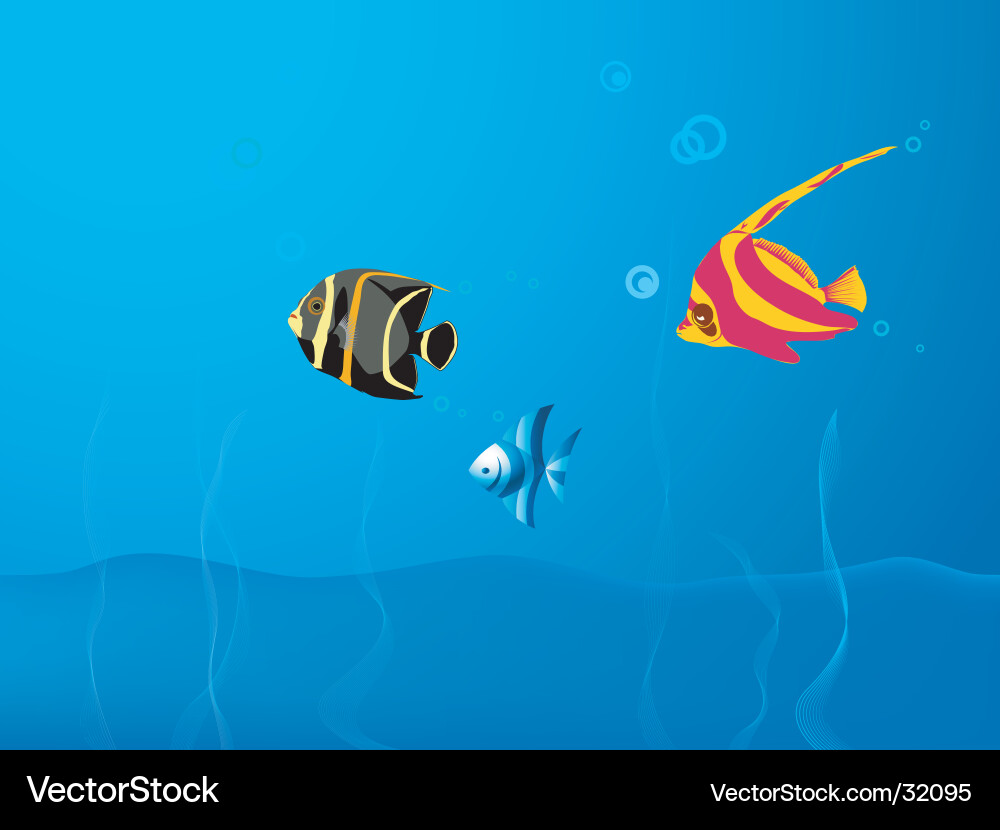 Tropical fish Royalty Free Vector Image - VectorStock