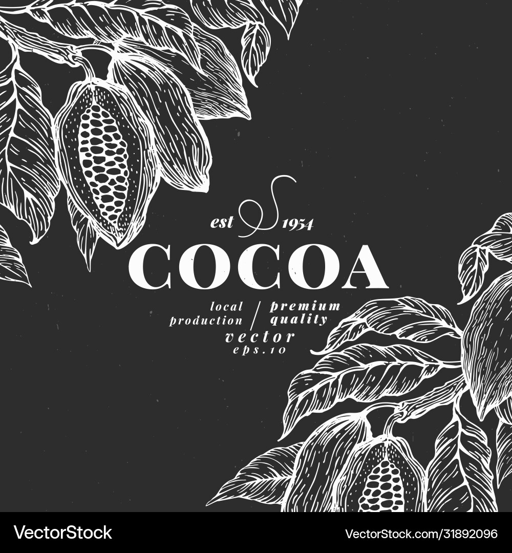 Hand drawn cocoa design template cacao plants Vector Image