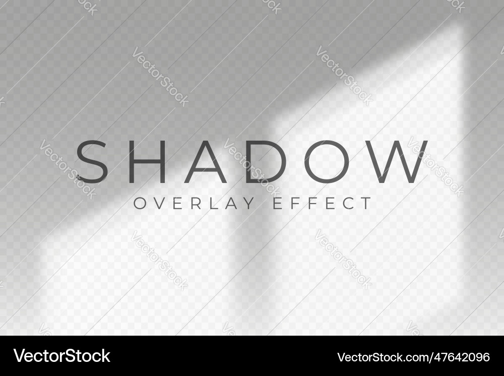 Shadow overlay effect transparent soft light Vector Image