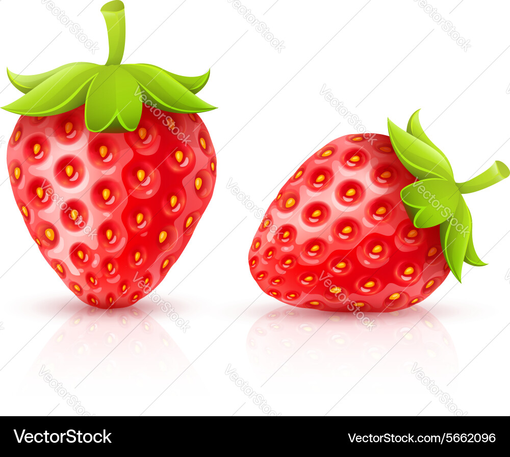 Strawberry red ripe fruits Royalty Free Vector Image