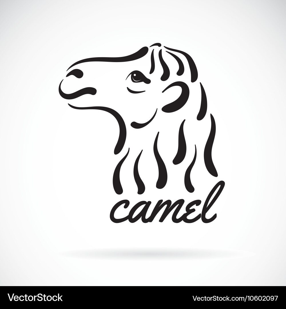 Camel Royalty Free Vector Image - VectorStock