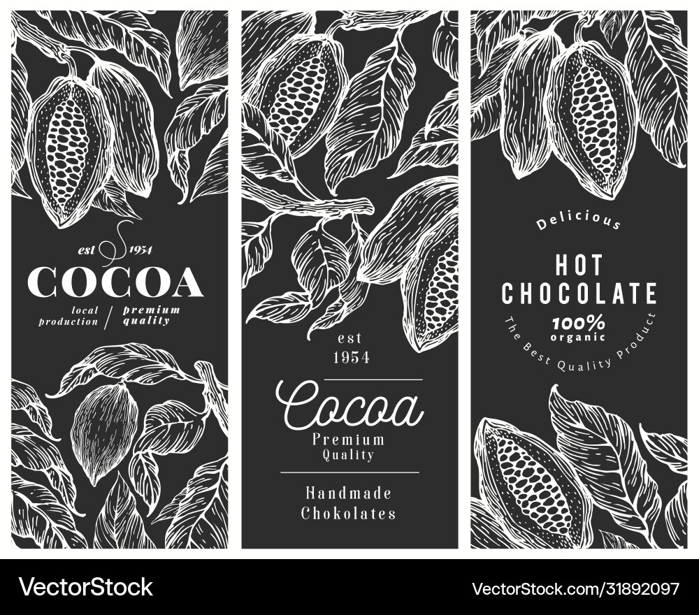 Hand drawn cocoa design template cacao plants Vector Image