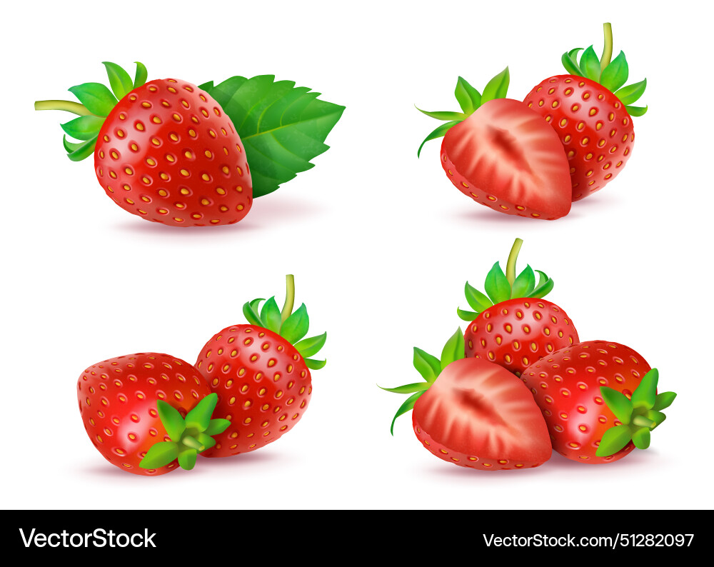 Isolated strawberry 3d red whole and half fruit Vector Image