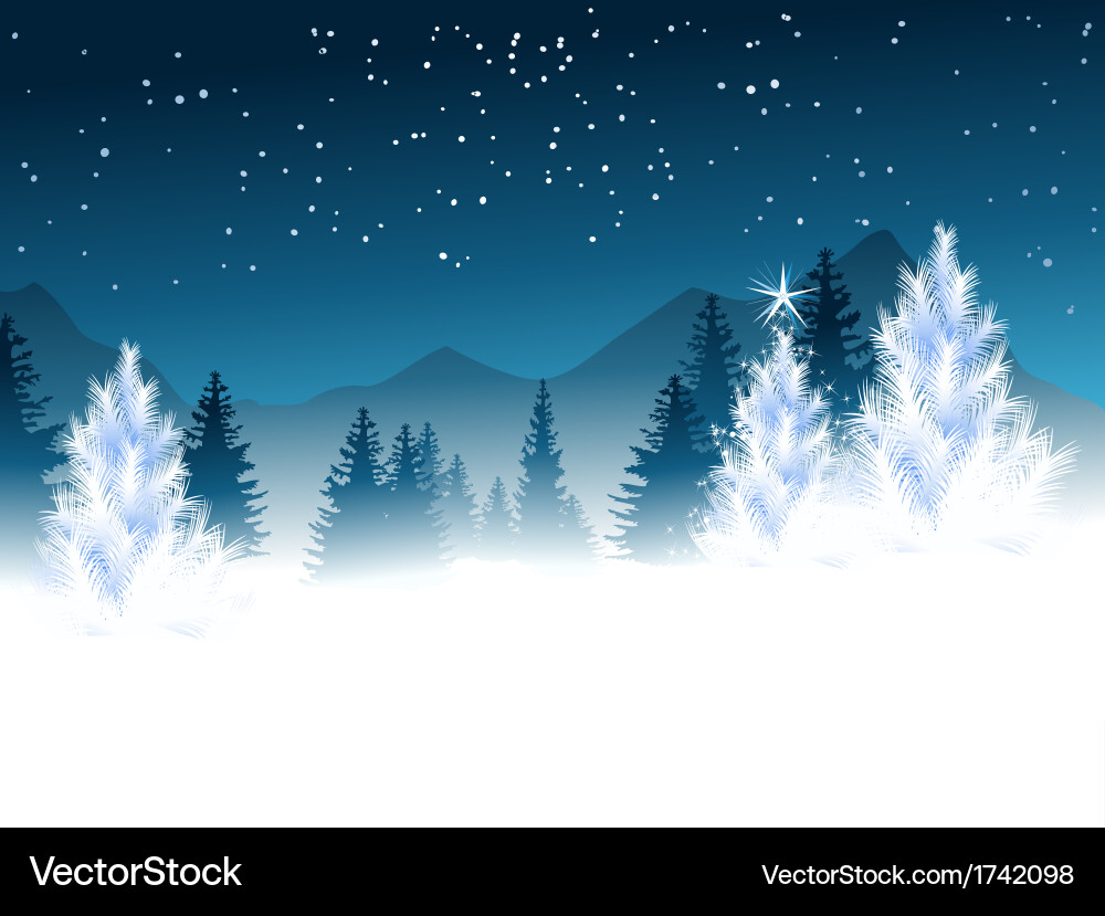 Christmas trees Royalty Free Vector Image - VectorStock