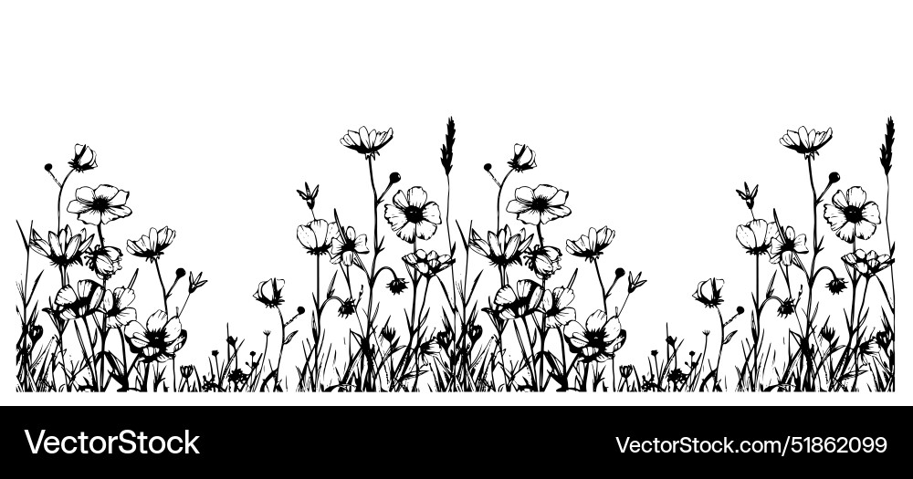 Wild flower field border Royalty Free Vector Image