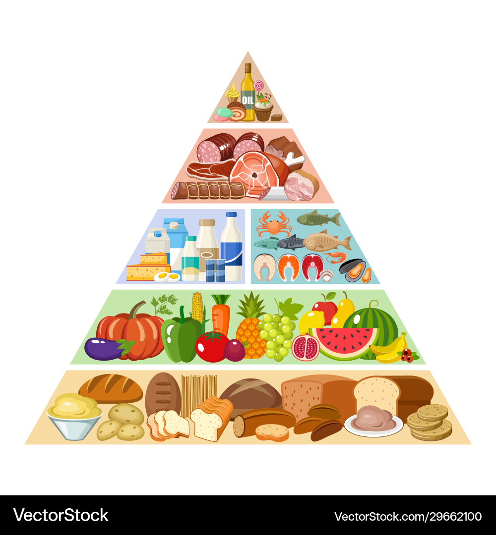 Food Pyramid Nutrition Cartoon Vector Images (over 140)
