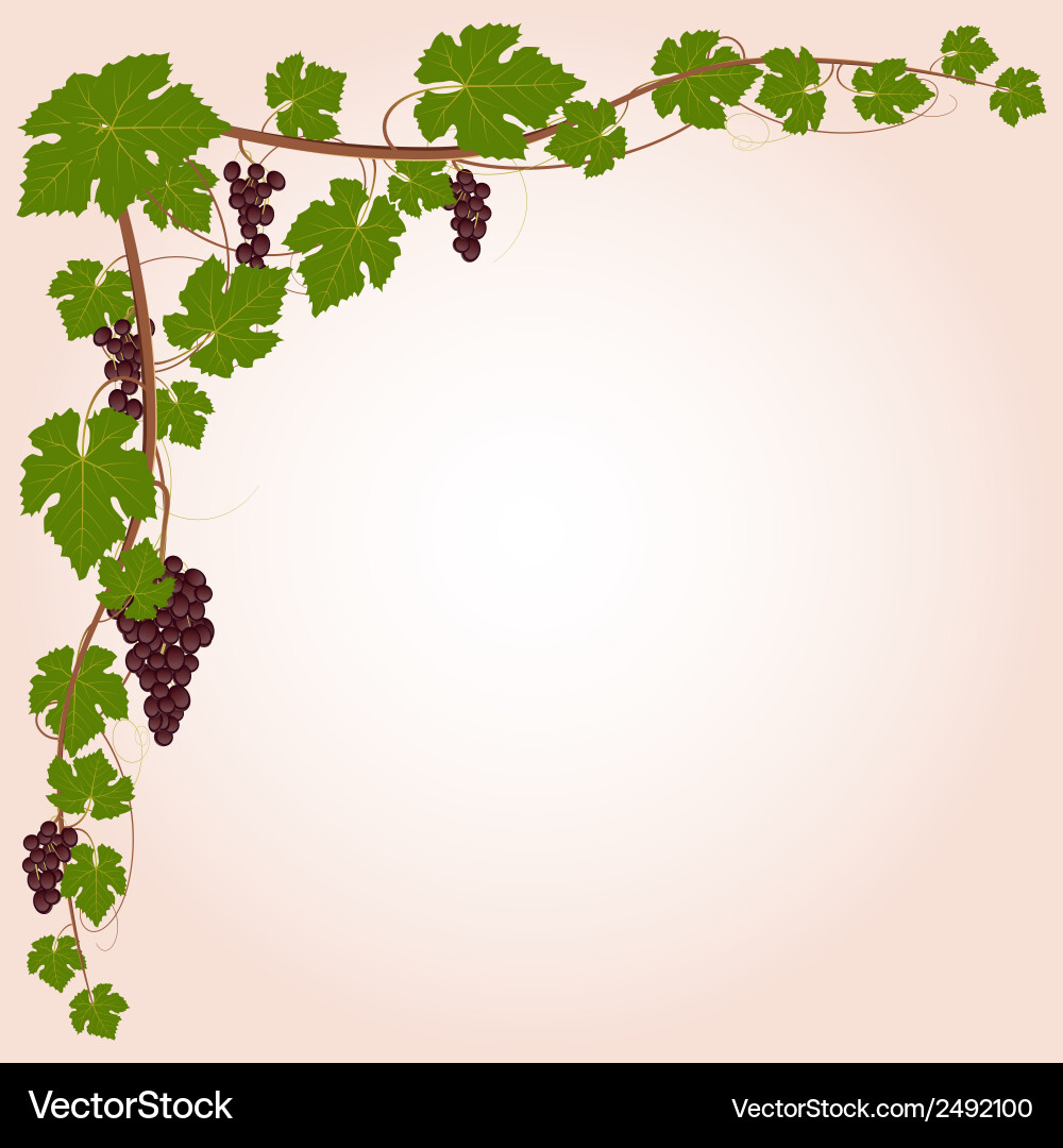 Grape Corner Decoration Royalty Free Vector Image