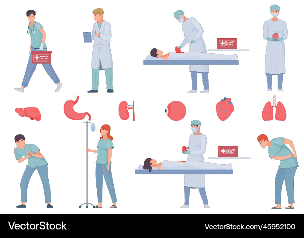 Organ transplant icon set Royalty Free Vector Image