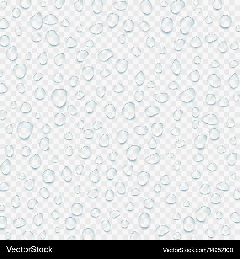 Realistic transparent water drops Royalty Free Vector Image
