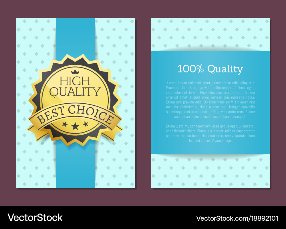 100 percent high quality award best choice Vector Image
