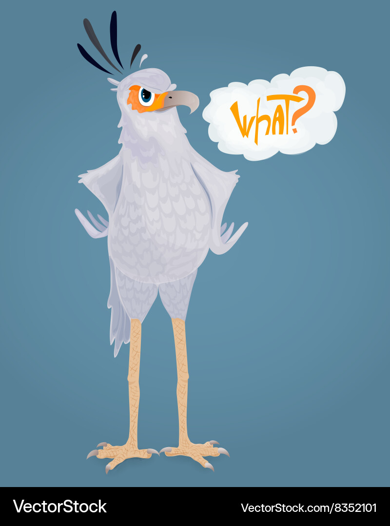 Cartoon angry secretary bird ask a question Vector Image
